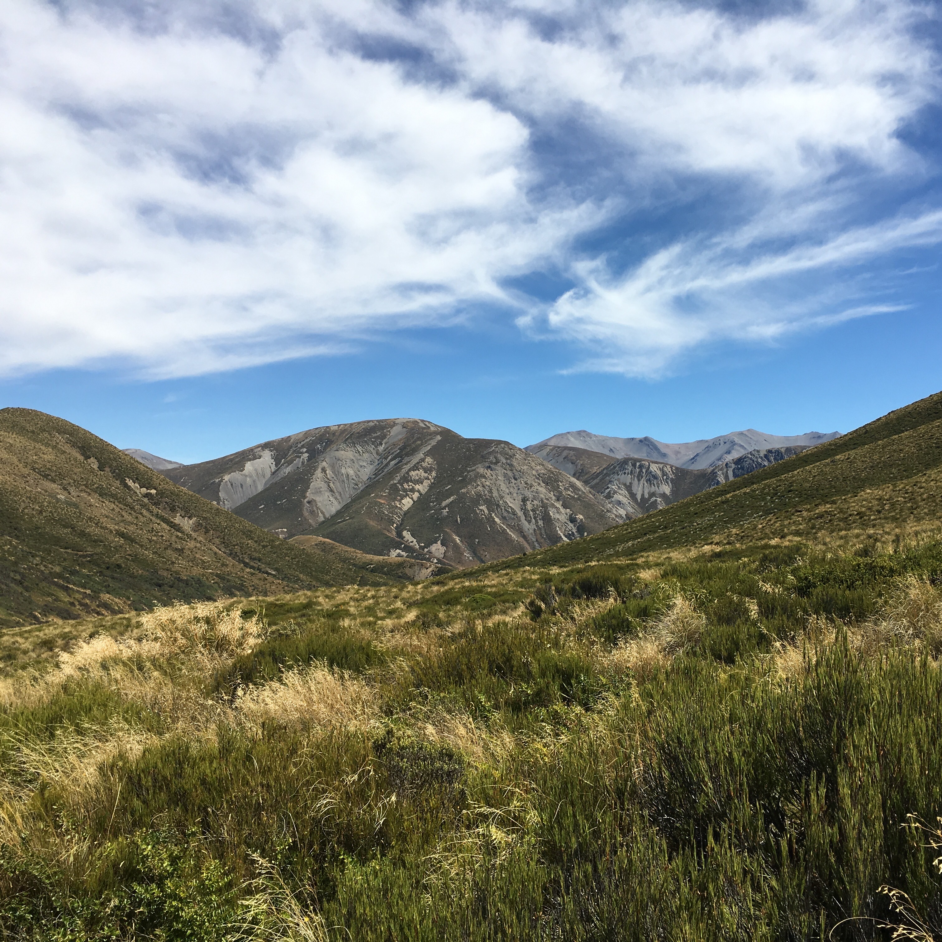 Porters Pass, Trip #89 – Critter Club – Journal