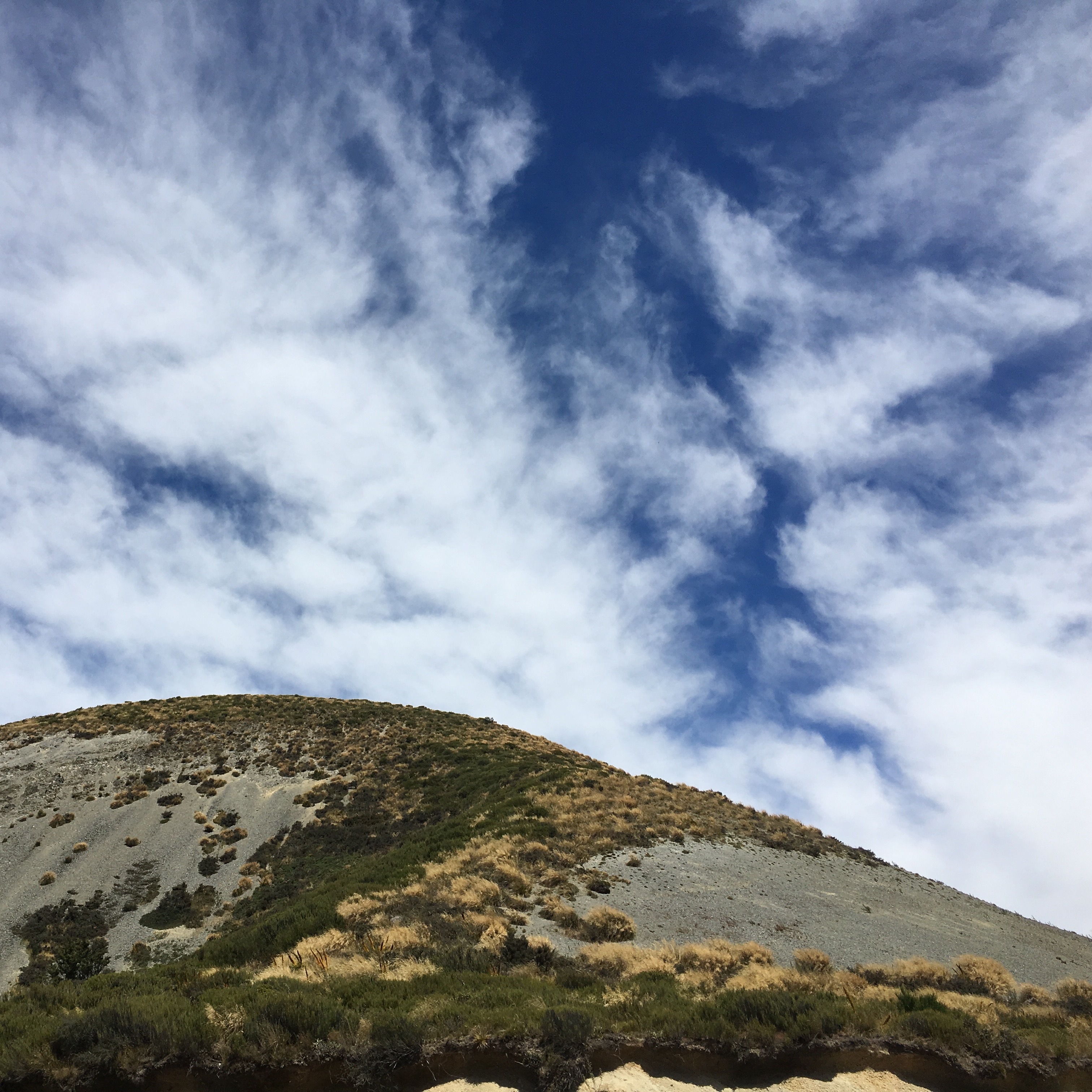 Porters Pass, Trip #89 – Critter Club – Journal